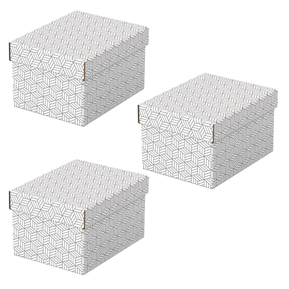 3 Esselte Home Aufbewahrungsboxen 6,5 l weiß 20,0 x 25,5 x 15,0 cm | office discount